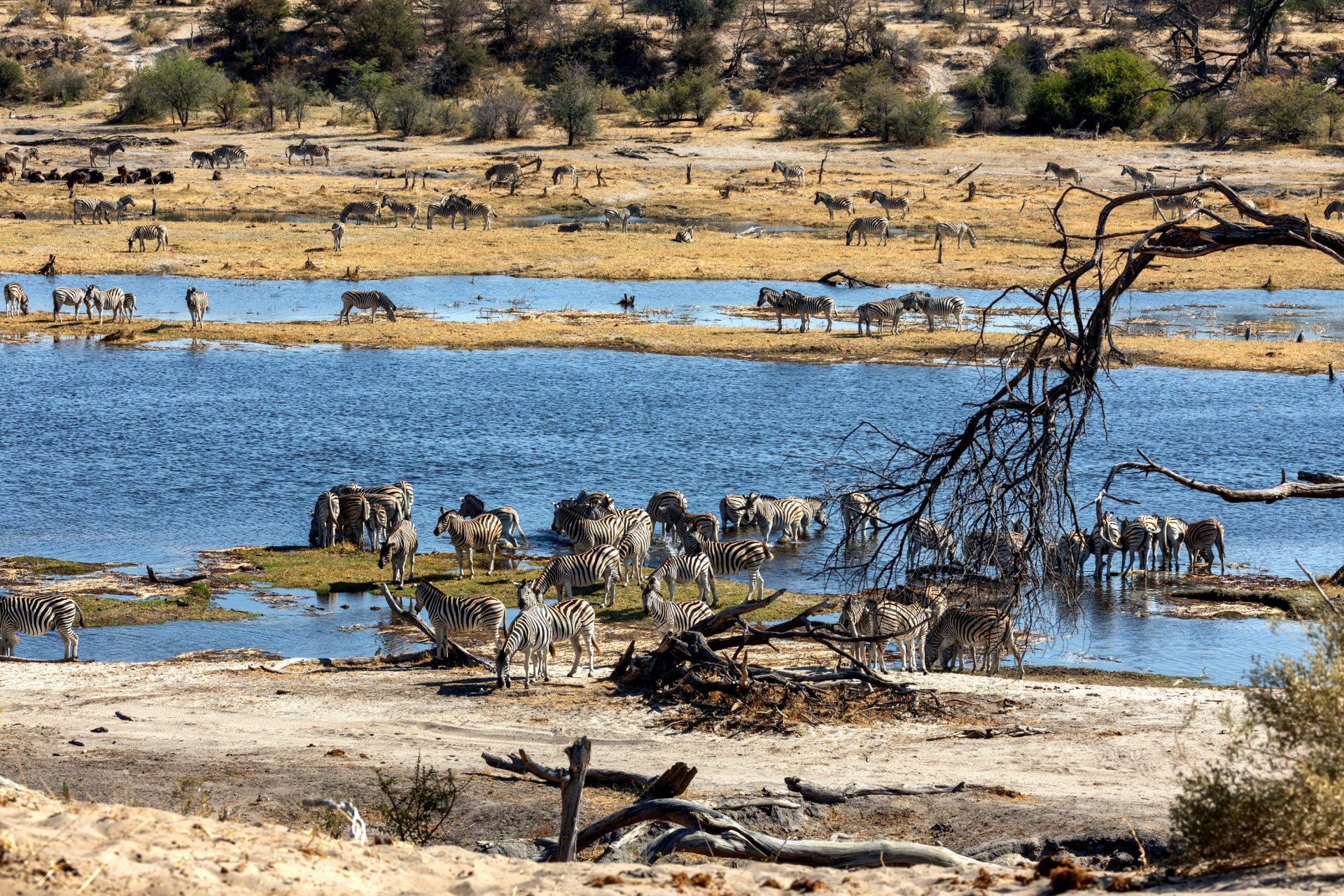 See beautiful Botswana in a week without breaking the bank - Nomadicmacs