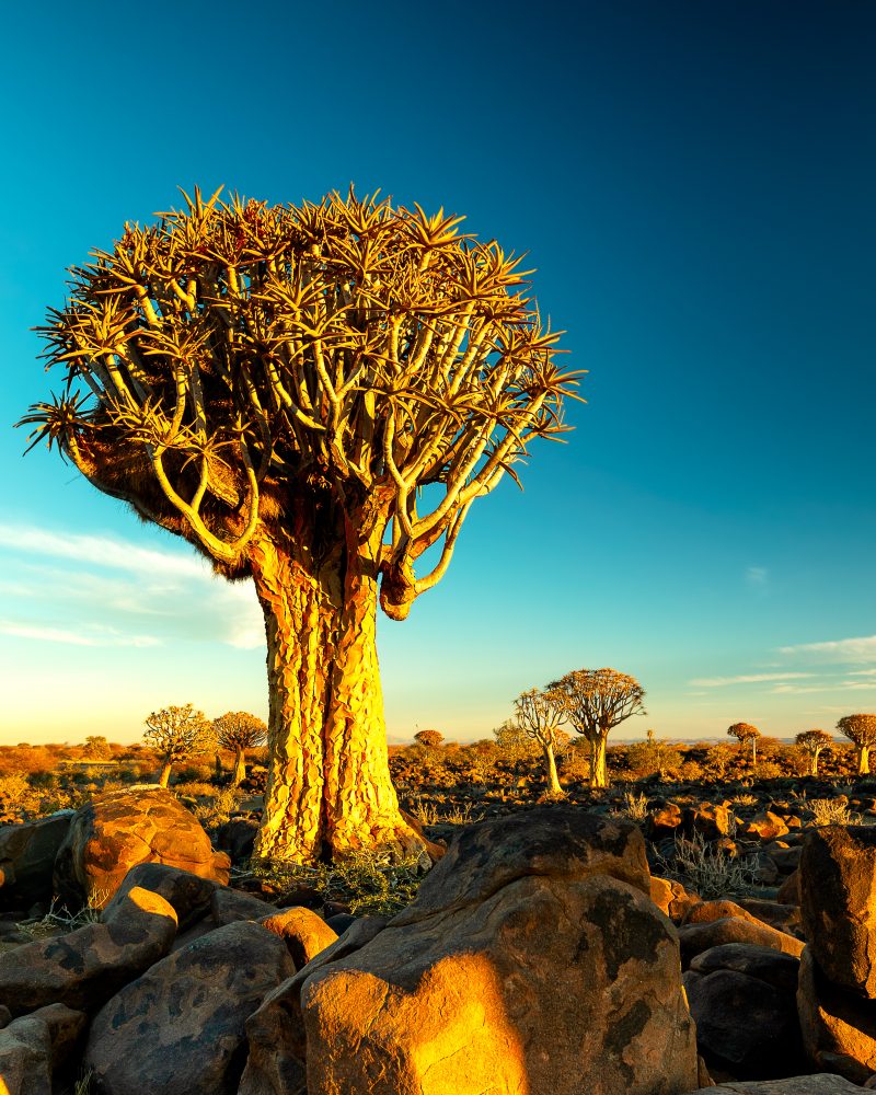 Namibia: 8 Amazing Life Lessons Learned in a Desert Land - NomadicMacs