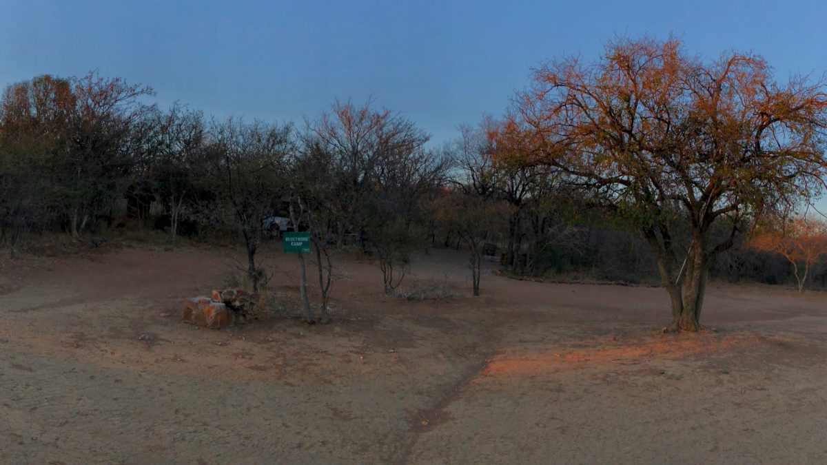 Discover beautiful Mokolodi Nature Reserve: A Wildlife Haven in ...